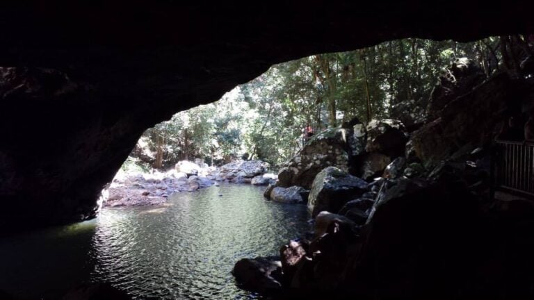 Natural Bridge Gold Coast with kids | Worth it? We think so!