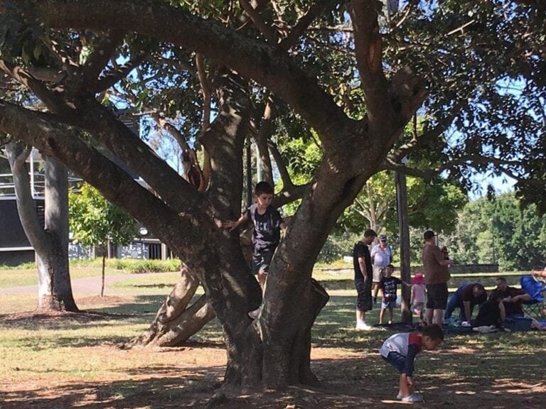 Nerang Cinemas | See a Movie & Visit the Nerang Markets