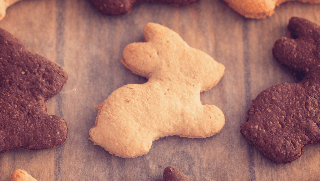 Easter Bunny Biscuits | Families Magazine